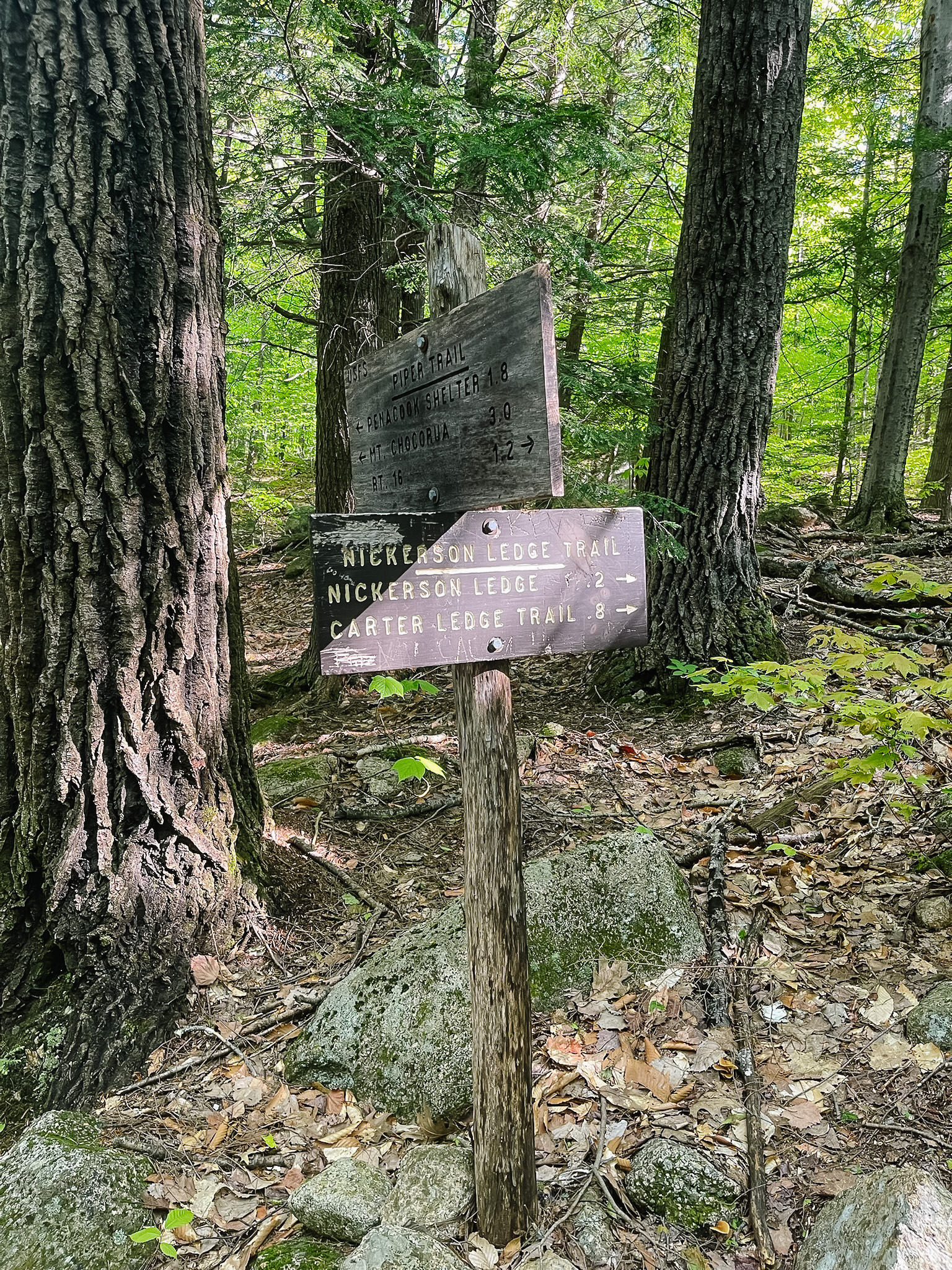 How to Hike Mount chocorua and Middle Sister in One Day - Navigation None